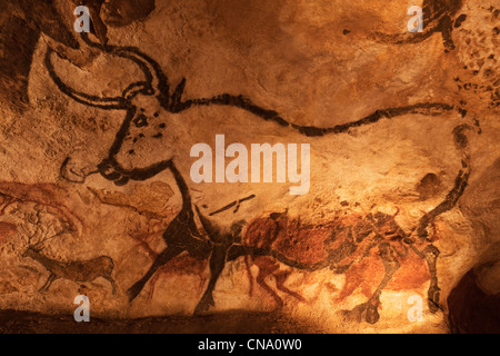 Detail of a cave painting at Lascaux, France. Wounded Bison, Wounded ...