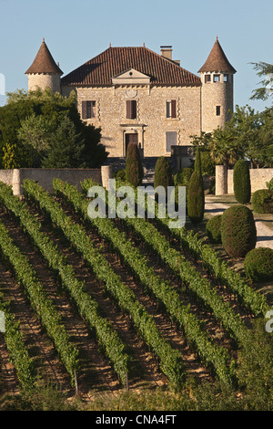 France, Quercy, Lot, Cahors Vineyard Stock Photo - Alamy