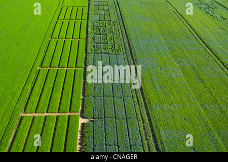 France, Eure, Vesly, experimental cultivation of flax (aerial view ...