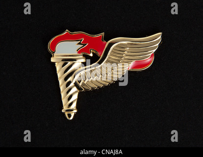 US Military Pathfinder badge Stock Photo - Alamy