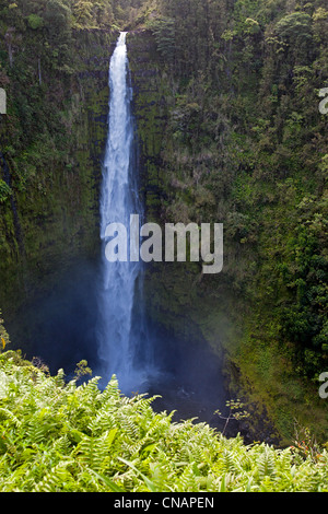 Akaka Falls, Hamakua Coast, Island of Hawaii Stock Photo - Alamy