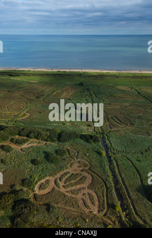 France, Calvados, Asnelles, Gold Beach, one of the D-Day landing ...