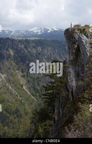 A vertical shot of a man standing on a wooden observing deck ...