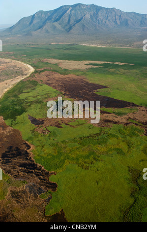 Pare Mountains and swamp, aerial view, northern Tanzania Stock Photo ...
