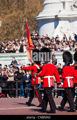 Irish guards officer with the Colours Stock Photo - Alamy