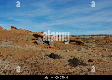 Petrified wood, orange rocks and blue sky, Utah Stock Photo - Alamy