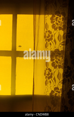 Backlit lace curtain illuminated by the setting sun Stock Photo - Alamy
