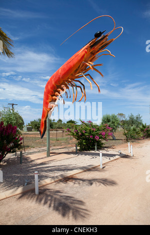 The Big Prawn, Exmouth, North West Cape, Western Australia Stock Photo ...