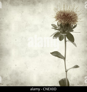 textured old paper background with safflower Stock Photo - Alamy