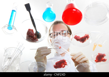 Symbolic image, food investigation. Laboratory technician examines ...