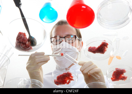 Symbolic image, food investigation. Laboratory technician examines ...