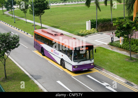 Single deck bus operated by SBS transit crossing a road intersection in ...