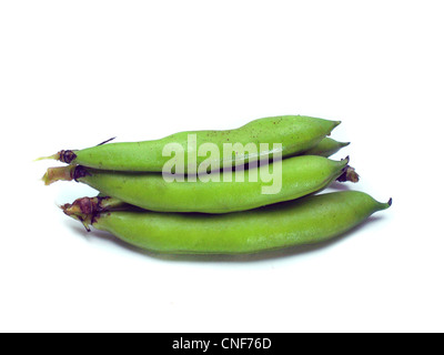 bunch of broad beans on a white background Stock Photo - Alamy