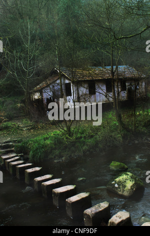 Spooky shack in the woods Stock Photo: 24027612 - Alamy
