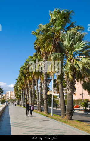 Paseo Maritimo de Pablo Ruiz Picasso seaside promenade and Malagueta ...