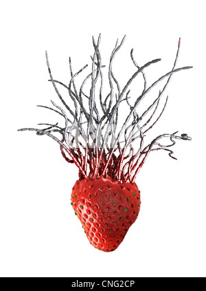 Genetically-modified strawberries, illustration Stock Photo - Alamy