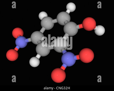 2,4-Dinitrophenol (DNP), molecular model. Atoms are represented as ...