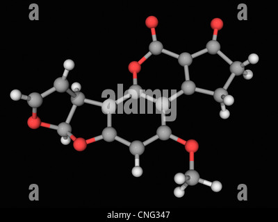 Aflatoxin B1. Molecular model of the mycotoxin aflatoxin B1 (C17.H12.O6 ...