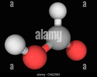 Formic acid. Molecular model of the naturally occurring acid formic ...