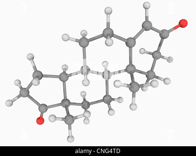 Androstenedione hormone molecule Stock Photo - Alamy