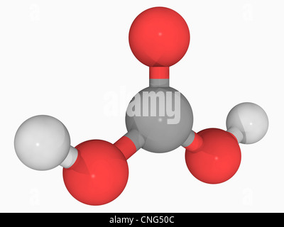 Carbonic acid. Molecular model of the weak acid known as carbonic acid ...