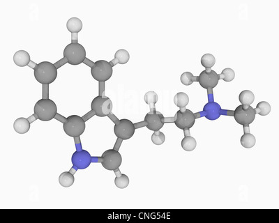 Dimethyltryptamine (DMT) psychedelic drug molecule. Present in the ...