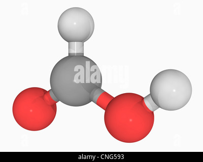 Formic acid. Molecular model of the naturally occurring acid formic ...