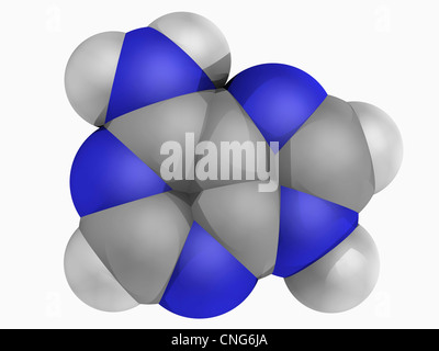 Adenine purine nucleobase molecule. Chemical formula is C5H5N5. Atoms ...