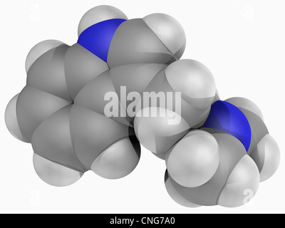 Dimethyltryptamine (DMT) psychedelic drug molecule. Present in the ...