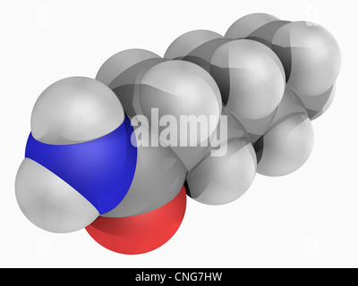 Hexanamide. Molecular model of the organic compound and amide ...