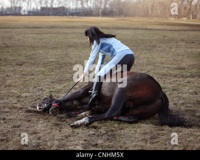 A fallen horse and rider Stock Photo - Alamy