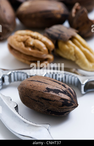 Pecan nut in cracked shell isolated on white background Stock Photo - Alamy
