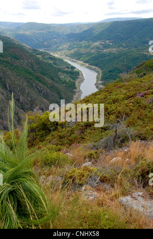 The Sil river canyon in Galicia , Spain Stock Photo - Alamy