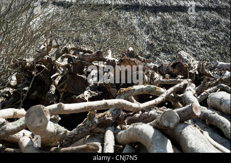 The wood pile at Great Dixter in Northiam, East Sussex, England, UK ...