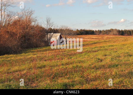 Fort Hill area, Eastham, Massachusetts, United States Stock Photo - Alamy
