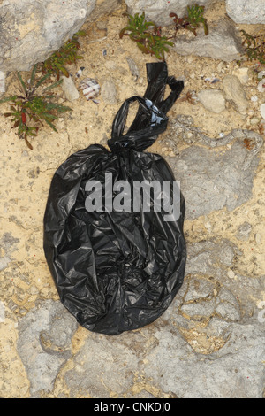Domestic Dog, muck in plastic waste bag, left hanging in bush, Isle of ...