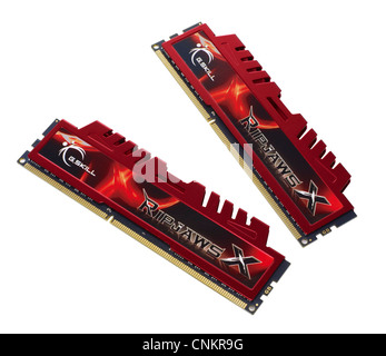 RAM Random Access Memory Modules Installed in a Modern Computer ...