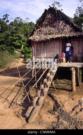 The Matsés or Mayoruna are an indigenous tribe of the Peruvian and ...