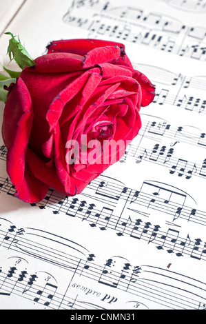 Red Rose On Music Notes Stock Photo - Alamy