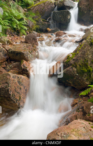 Lake Buttermere in the Lake District near Keswick Stock Photo - Alamy