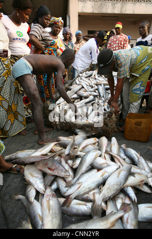 Fish Market , Boublinet Harbour , Conakry Guinea , West Africa Stock ...
