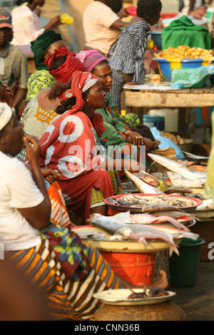 Fish Market , Boublinet Harbour , Conakry Guinea , West Africa Stock ...