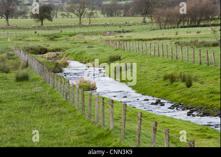Stream flowing through pasture protected livestock new wire mesh ...