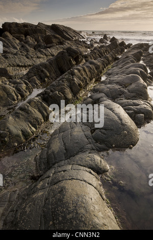 Heavily folded sandstone and mudstone rocks with surf, Hartland Quay ...