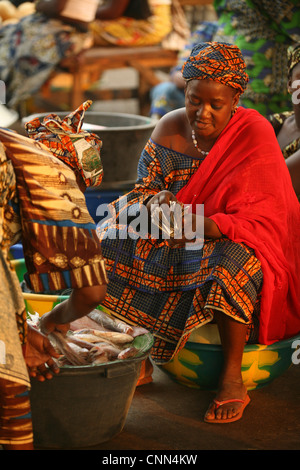 Fish Market , Boublinet Harbour , Conakry Guinea , West Africa Stock ...