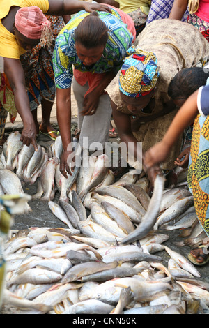 Fish Market , Boublinet Harbour , Conakry Guinea , West Africa Stock ...