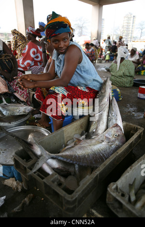 Fish Market , Boublinet Harbour , Conakry Guinea , West Africa Stock ...