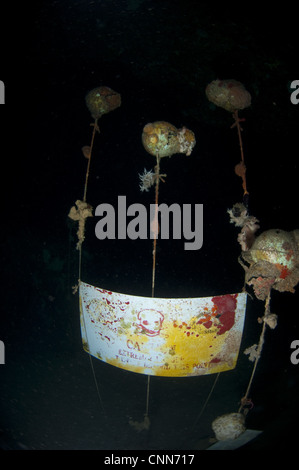 underwater cave diving warning sign "stop" danger Stock Photo: 15871090 ...