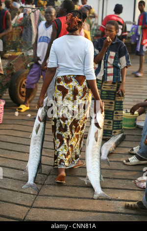 Fish Market , Boublinet Harbour , Conakry Guinea , West Africa Stock ...