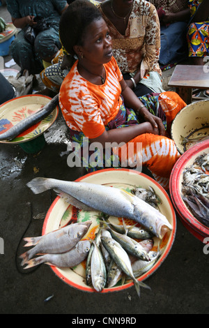 Fish Market , Boublinet Harbour , Conakry Guinea , West Africa Stock ...